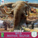 Elephant Collage Jigsaw Puzzle: Gifts & Collectibles – FairyGlen Store